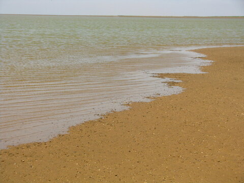 Przezroczyste Images – Browse 294 Stock Photos, Vectors, and Video | Adobe Stock