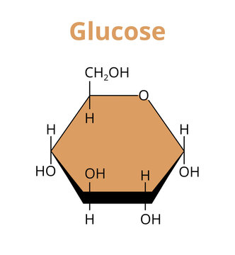 Hexose Sugar