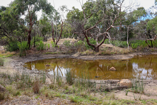 Billabong Bilder – Durchsuchen 3,679 Archivfotos, Vektorgrafiken und ...