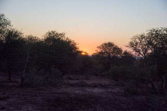Sunrise In African Bush Images – Browse 9,103 Stock Photos, Vectors ...