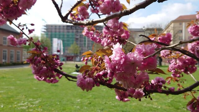 รูปภาพGrassimuseum – เลือกดูภาพถ่ายสต็อก เวกเตอร์ และวิดีโอ73 | Adobe Stock
