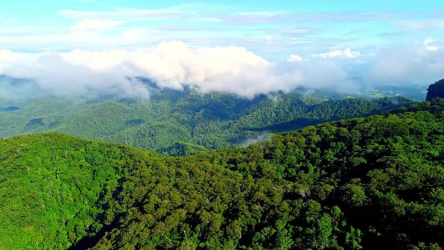 "Springbrook National Park" Images – Browse 473 Stock Photos, Vectors ...