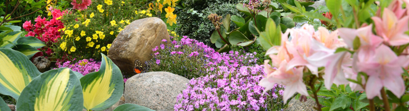 1,027,314 BÄSTA Frodig BILDER, STOCKFOTON OCH VEKTORBILDER | Adobe Stock