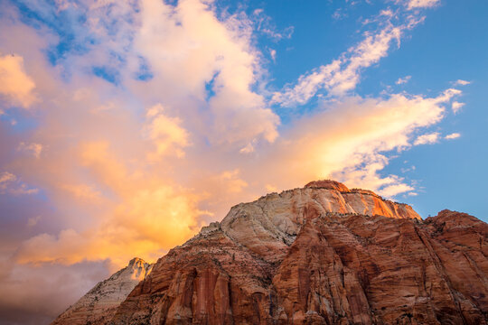 61 BEST Znp IMAGES, STOCK PHOTOS & VECTORS | Adobe Stock