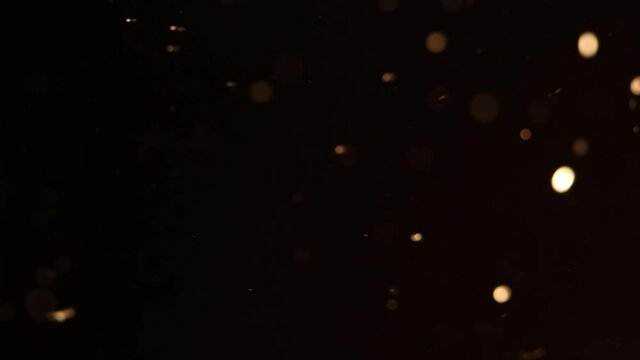 Floating Embers Photoshop