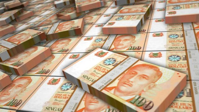 Singapore Dollar"」の写真素材 | 548件の無料イラスト画像 | Adobe Stock
