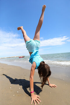Courbette Images – Parcourir 231 le catalogue de photos, vecteurs et ...
