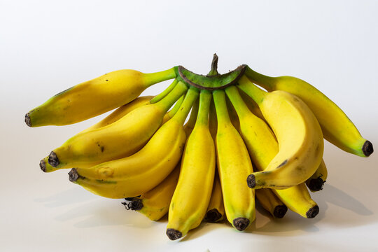 Penca 画像 - 参照 530 Stock 写真、ベクターおよびビデオ | Adobe Stock