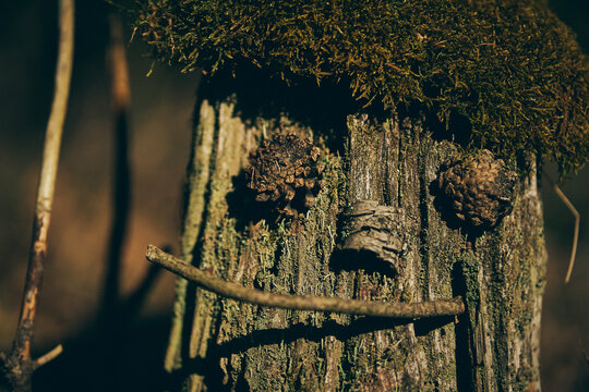 "Peaky Blinders" Bilder – Durchsuchen 551 Archivfotos, Vektorgrafiken ...