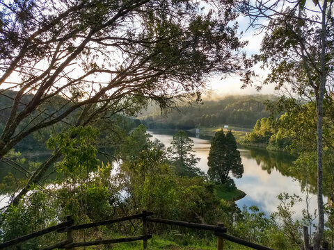 Arvi Images – Browse 881 Stock Photos, Vectors, and Video | Adobe Stock