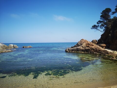 Calonge Images – Browse 952 Stock Photos, Vectors, and Video | Adobe Stock