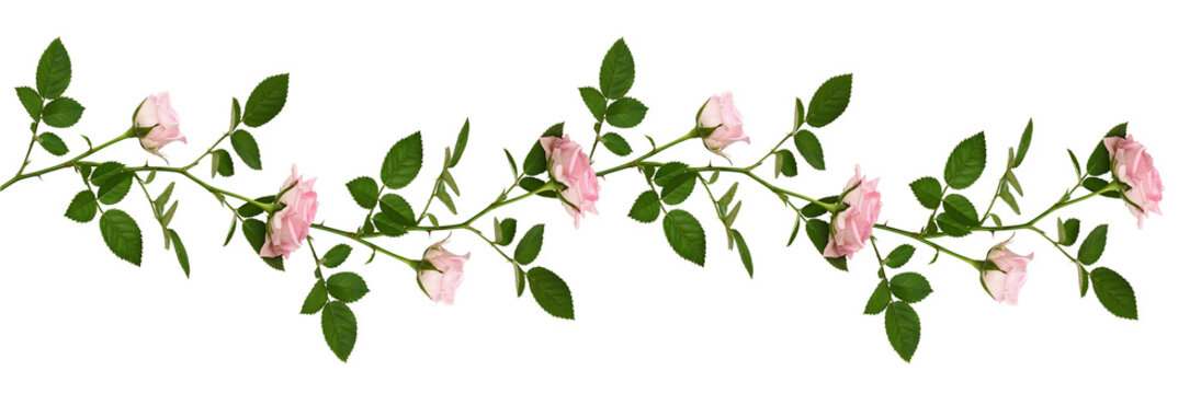 161,395 BESTE Blumenreihe BILDER, STOCK-FOTOS & -VEKTORGRAFIKEN | Adobe ...
