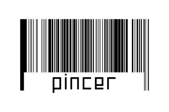 Imagens de Pincer – Explore Fotografias do Stock, Vetores e Vídeos de ...