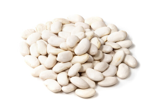 Lobia Images – Parcourir 542 le catalogue de photos, vecteurs et vidéos ...