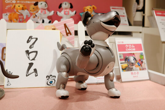 Imagens de Aibo – Explore Fotografias do Stock, Vetores e Vídeos de 36 ...