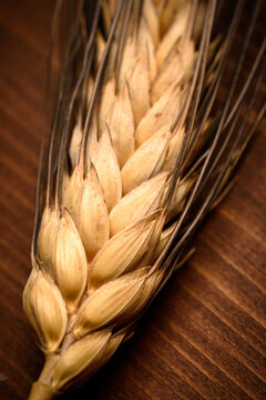 "Spiga Di Grano" Images – Browse 512 Stock Photos, Vectors, and Video ...