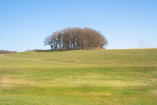 "Bunch Of Trees" Images – Browse 42 Stock Photos, Vectors, and Video ...