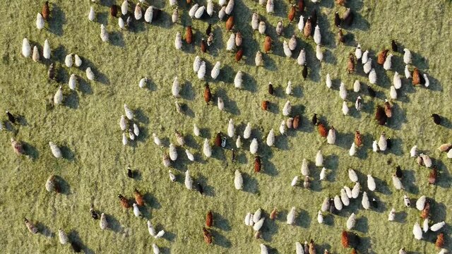 "Extensive Farming" Images – Browse 257 Stock Photos, Vectors, and ...