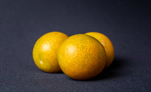 รูปภาพKinkan – เลือกดูภาพถ่ายสต็อก เวกเตอร์ และวิดีโอ2,226 | Adobe Stock