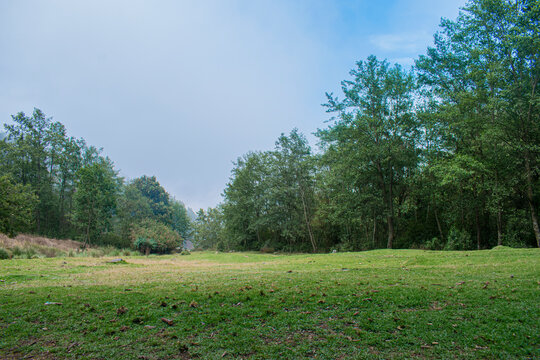 "Pasto Seco"-Bilder: Stock-Fotos & -Videos. | Adobe Stock