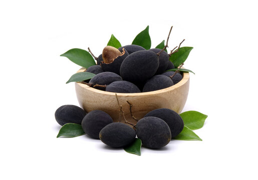 รูปภาพDialium – เลือกดูภาพถ่ายสต็อก เวกเตอร์ และวิดีโอ240 | Adobe Stock