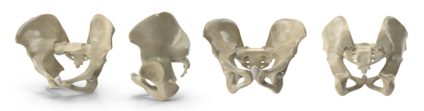 910 IMAGES, PHOTOS ET ILLUSTRATIONS VECTORIELLES STOCK APPROPRIÉES SUR ...