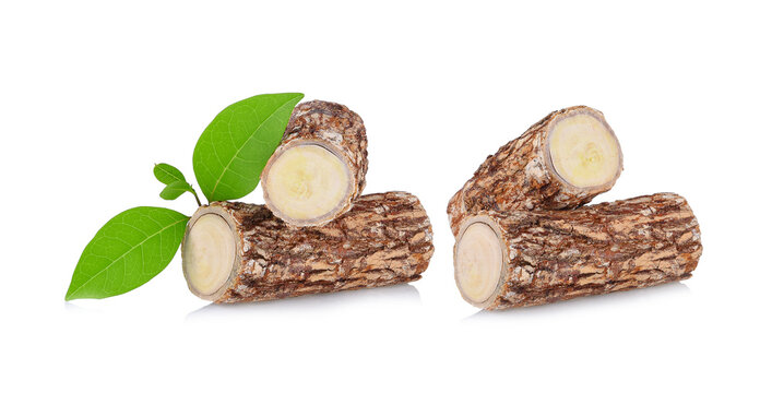 รูปภาพThanakha – เลือกดูภาพถ่ายสต็อก เวกเตอร์ และวิดีโอ1,010 | Adobe Stock