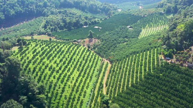 "Orange Farm" Images – Browse 403 Stock Photos, Vectors, and Video ...