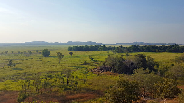 Nadab Images – Browse 64 Stock Photos, Vectors, and Video | Adobe Stock