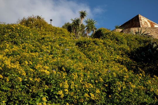 Bonaria Bilder – Durchsuchen 214 Archivfotos, Vektorgrafiken und Videos ...