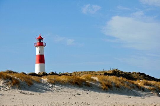 List-Ost bilder – Bläddra bland 102 stockfoton, vektorer och videor ...