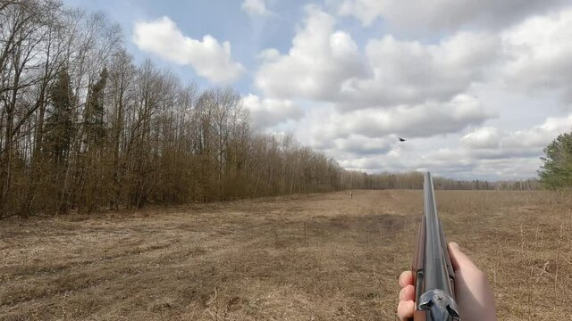 Pheasant Shoot Images – Browse 10,882 Stock Photos, Vectors, and Video ...