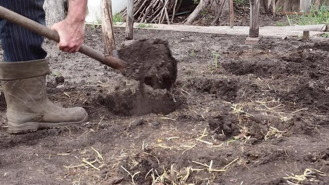 "Planting Potatoes" Bilder – Durchsuchen 463 Archivfotos ...