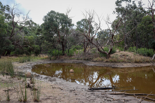 「Billabong」の画像 - 2,487 件の Stock 写真、ベクターおよびビデオ | Adobe Stock