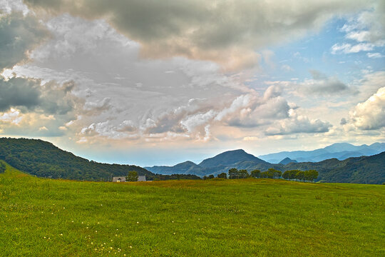 รูปภาพCatamite – เลือกดูภาพถ่ายสต็อก เวกเตอร์ และวิดีโอ1,098 | Adobe Stock