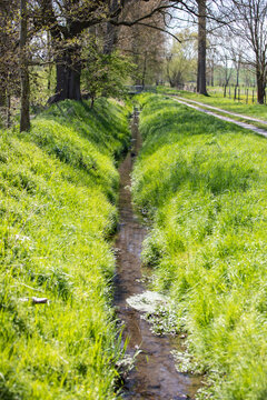 Meloration Imagens – Procure 4 fotos, vetores e vídeos | Adobe Stock