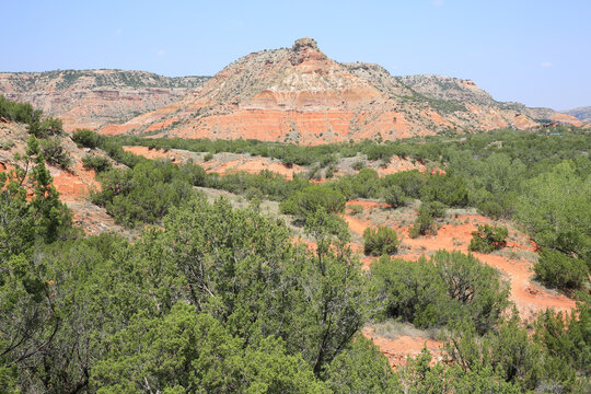 Palo Duro Images – Parcourir 1,434 le catalogue de photos, vecteurs et ...