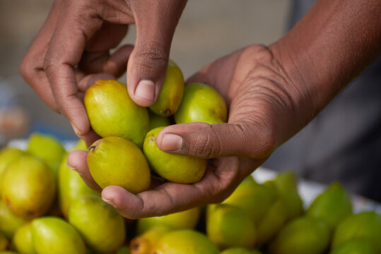 「Umari」の写真素材 | 31件の無料イラスト画像 | Adobe Stock