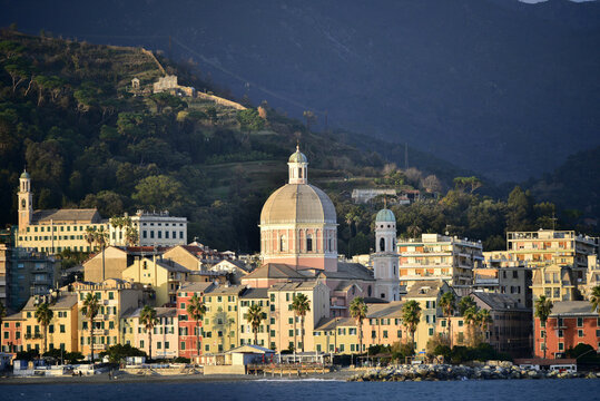 Pelli Images – Browse 360 Stock Photos, Vectors, and Video | Adobe Stock