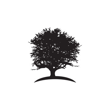 Maple Tree Logo Images – Browse 39,246 Stock Photos, Vectors, and Video ...