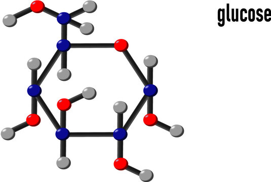 Glucose Molecule Model Linear