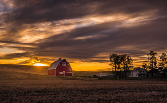 Barn Sunsets