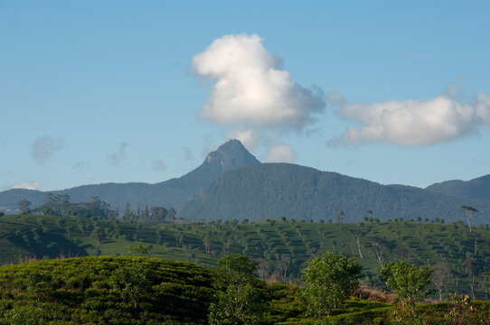 Anuradha photos, images, assets | Adobe Stock