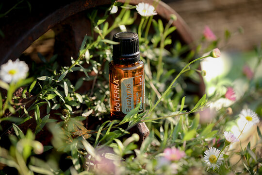 Doterra Bilder – Durchsuchen 2,972 Archivfotos, Vektorgrafiken und ...