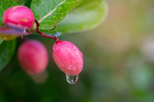 รูปภาพWooing – เลือกดูภาพถ่ายสต็อก เวกเตอร์ และวิดีโอ46,063 | Adobe Stock