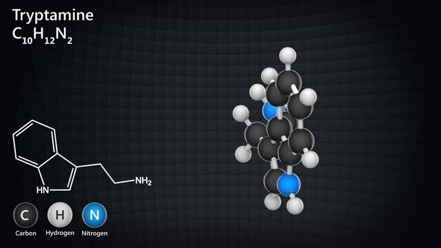 「Tryptamine」の写真素材 | 317件の無料イラスト画像 | Adobe Stock