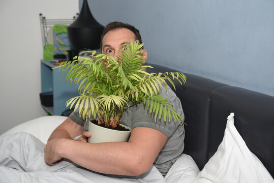 Feigheit Bilder – Durchsuchen 6,647 Archivfotos, Vektorgrafiken und ...