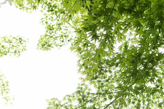 365,996 BEST Sway IMAGES, STOCK PHOTOS & VECTORS | Adobe Stock