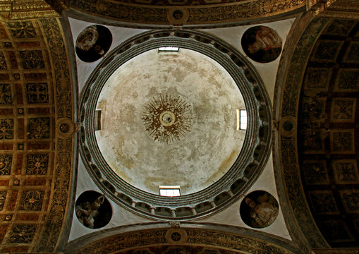 Tiburio - Images et vidéos libres de droits | Adobe Stock