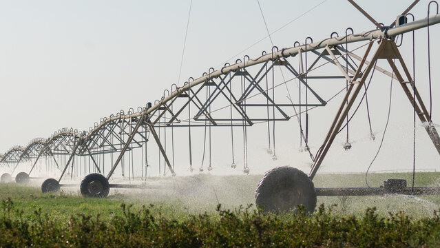 รูปภาพIrrigate – เลือกดูภาพถ่ายสต็อก เวกเตอร์ และวิดีโอ296,677 | Adobe ...